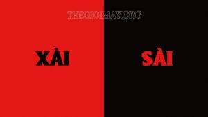 Xài hay sài? Cách dùng đúng nhất của từ "xài" và "sài"