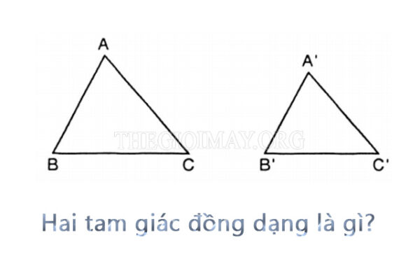 Tam giác đồng dạng | Khái niệm, tính chất, cách chứng minh