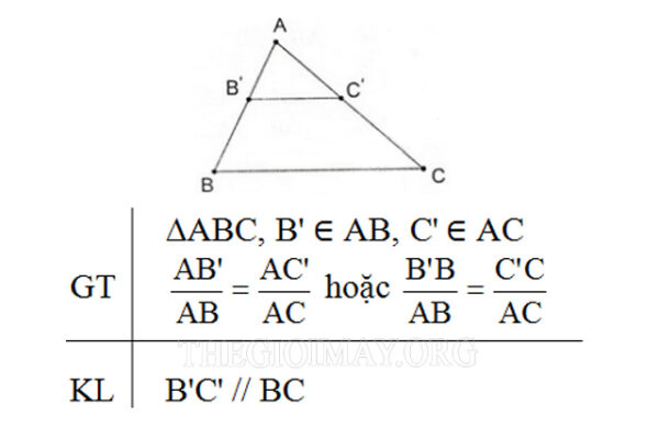 Tam giác đồng dạng | Khái niệm, tính chất, cách chứng minh