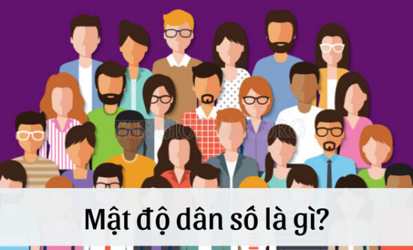 Mật độ dân số là gì? Cách tính và những thông tin cần biết