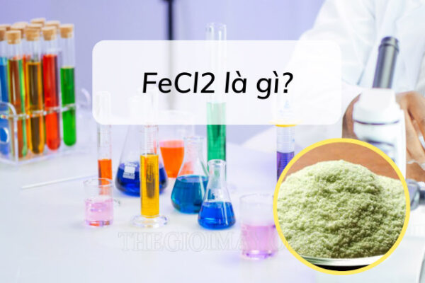 FeCl2 màu gì, là chất gì? Tính chất vật lý và hóa học của FeCl2