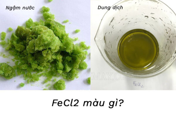 FeCl2 màu gì, là chất gì? Tính chất vật lý và hóa học của FeCl2