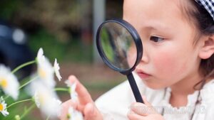 Kính lúp là gì? Cấu tạo, tác dụng và các loại kính lúp hiện nay